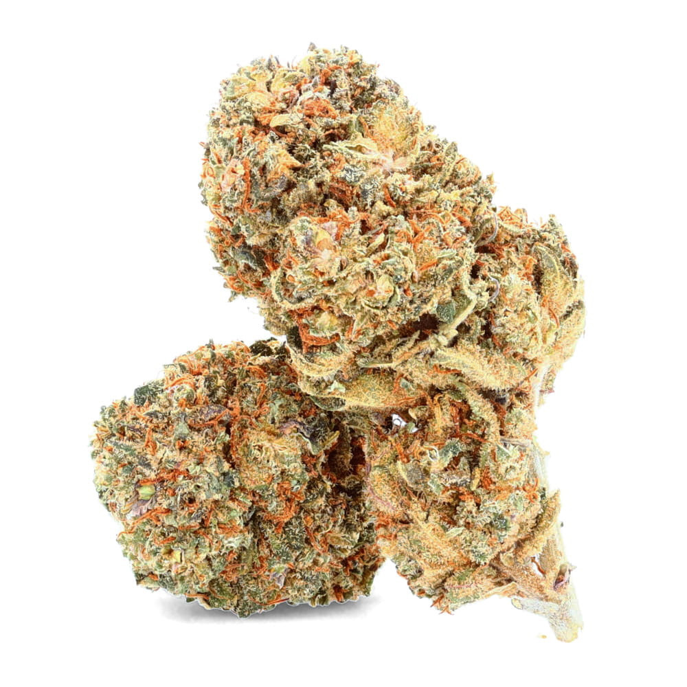 FLEURS DE CBD INDOOR - TROPICANA - IVORY