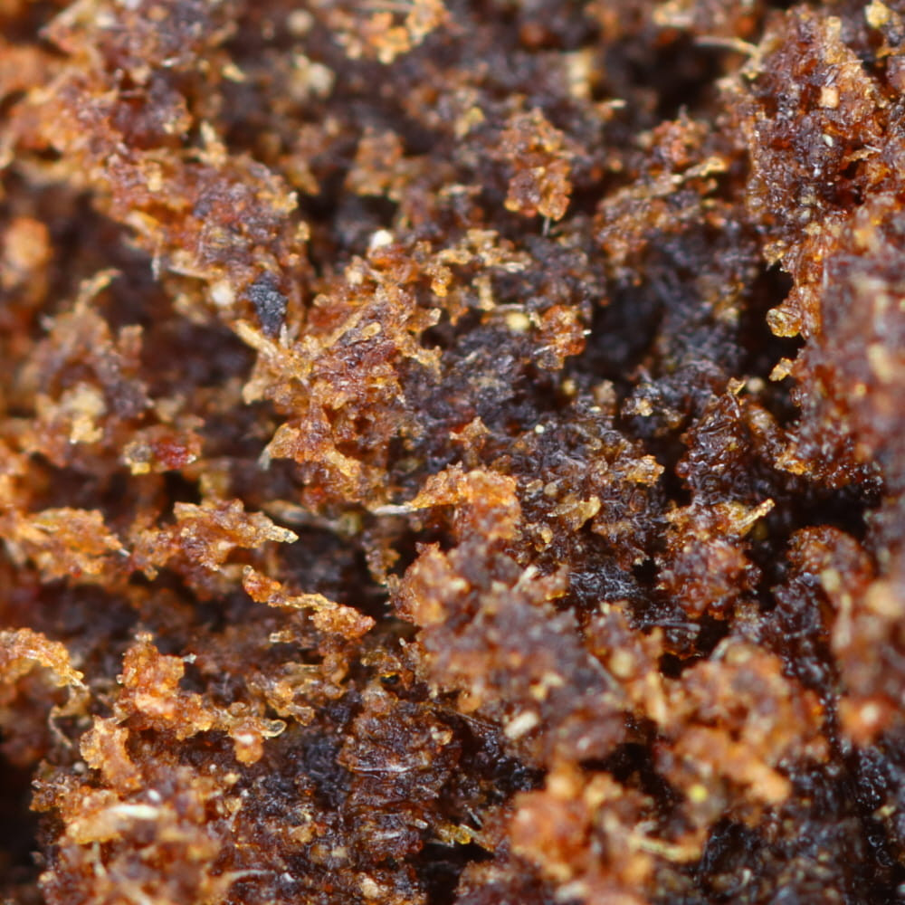 Le Gras EasyWeed - Résine CBD 19,9% pour une détente profonde - CBD.fr