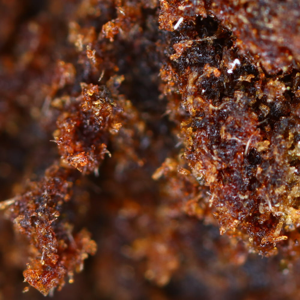 Hash de CBC Le Néplais 25% - Ivory - CBD.fr