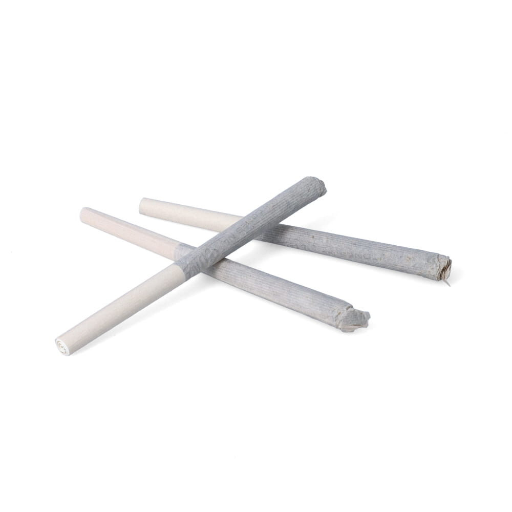 Joint pré-roulé CBD Infustick d'Ivory Swiss - CBD.fr