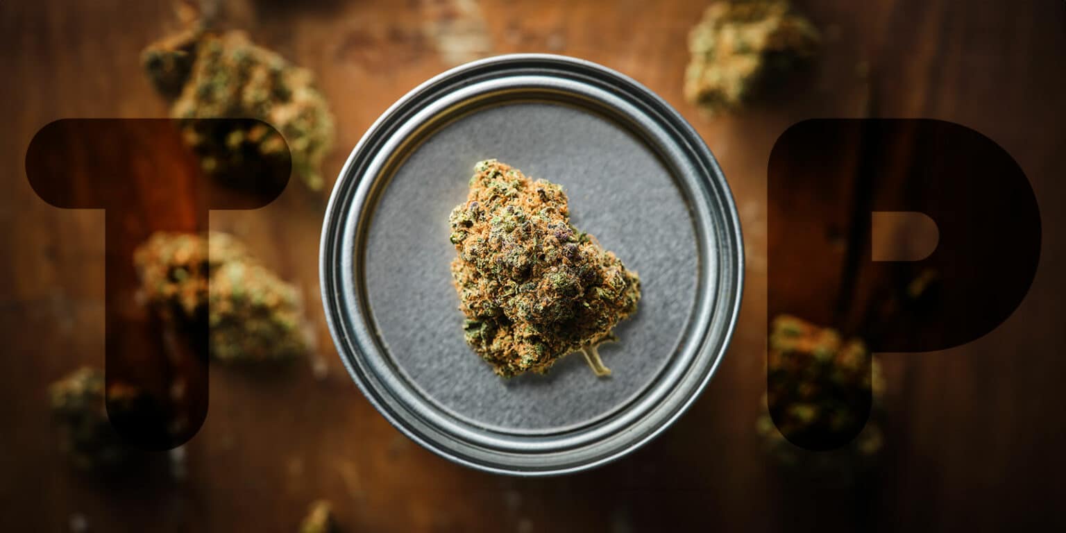 Top 10 des meilleures gélules de CBD vendues sur CBD.fr - CBD Blog