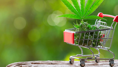 Quel est le prix de la CBD ? - CBD Blog